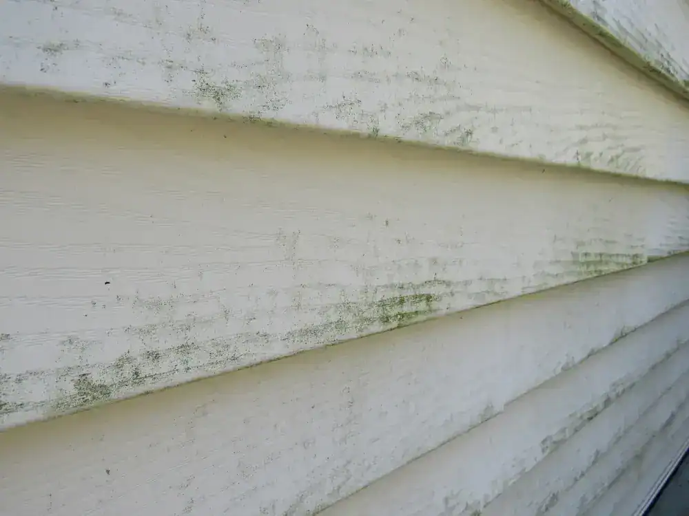 When To Replace or Repair Water Damage Behind Vinyl Siding